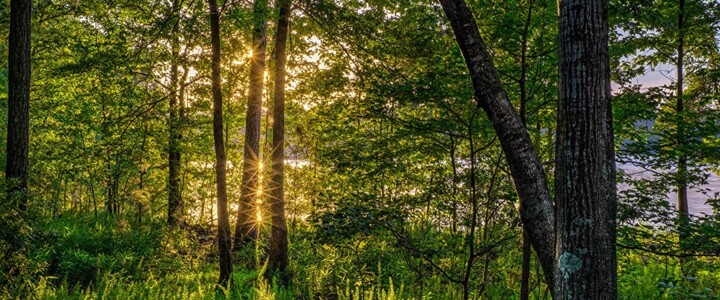 Welcome - Hertswood Academy